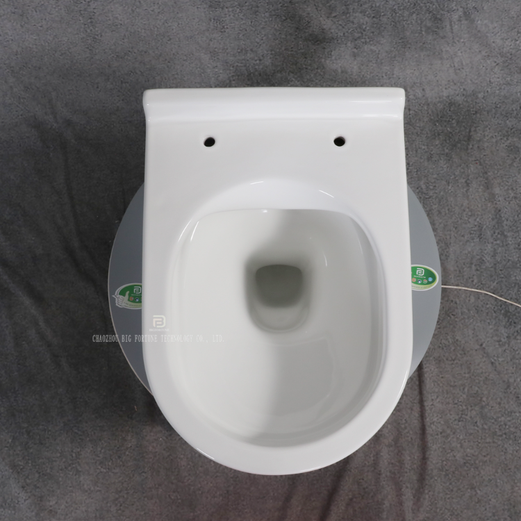 Buy Wholesale China Ceramic Japanese Style Wc Toilet Luxury Sanitary ...