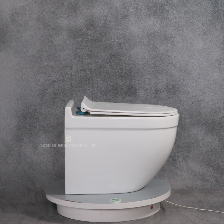Buy Wholesale China Ceramic Japanese Style Wc Toilet Luxury Sanitary ...