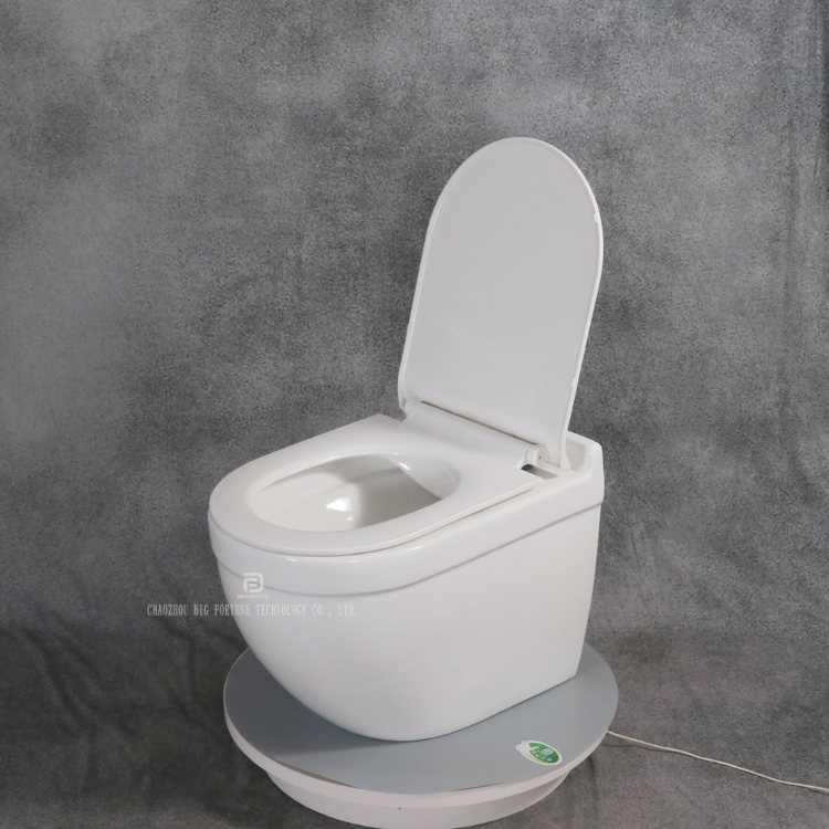 Buy Wholesale China Ceramic Japanese Style Wc Toilet Luxury Sanitary ...
