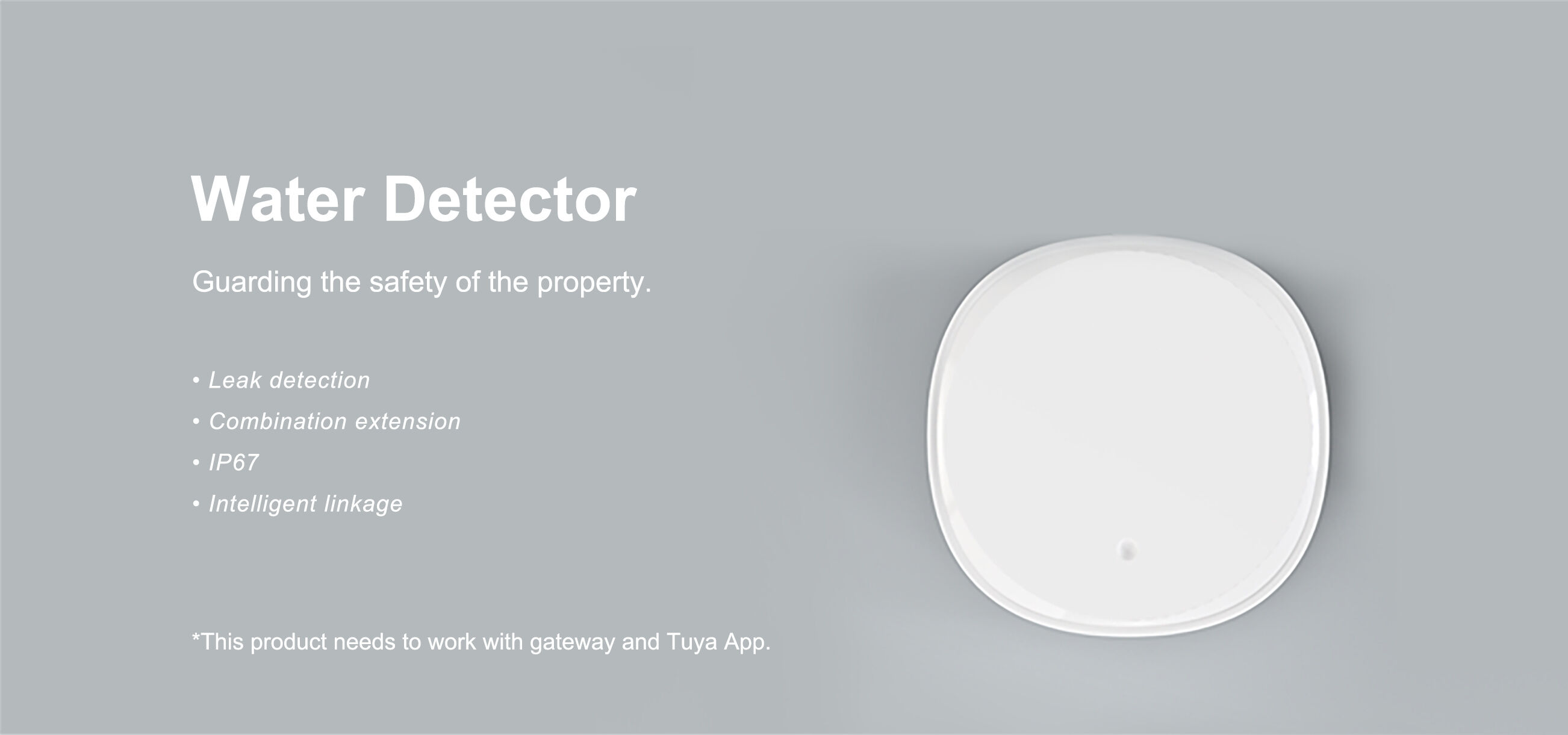 Buy Wholesale China Tuya Zigbee Water Leakage Sensor Water Leak Alarm ...