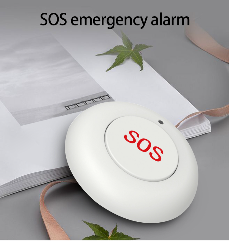 Buy Wholesale China Pgst Wireless Sos Button For Smart Home Security ...