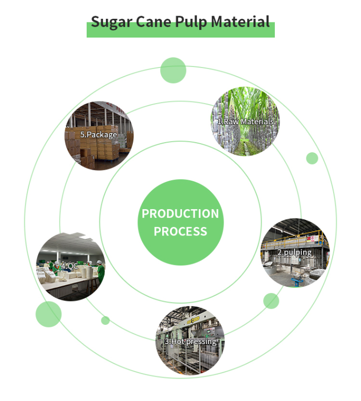 Biodegradable 6 8 9 Inch Clamshell Compostable Takeaway Lunch Box ...