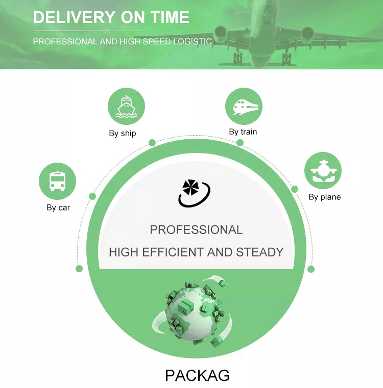 Biodegradable 6 8 9 Inch Clamshell Compostable Takeaway Lunch Box ...