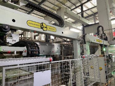 Biodegradable 6 8 9 Inch Clamshell Compostable Takeaway Lunch Box ...