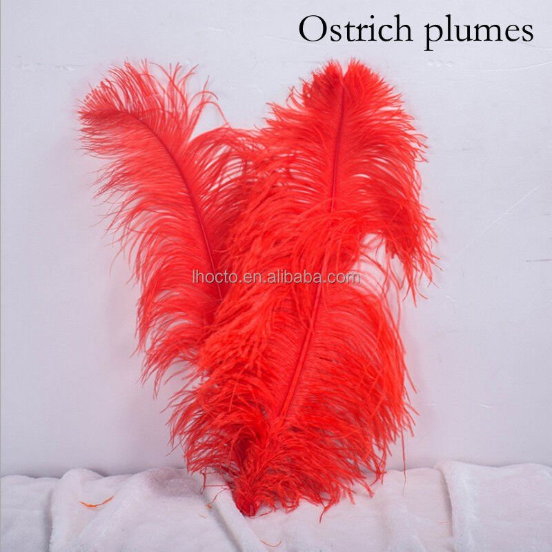 Wholesale Feathers Tnm001-1 65-70cm Big Size Ostrich Feather Wholesale ...