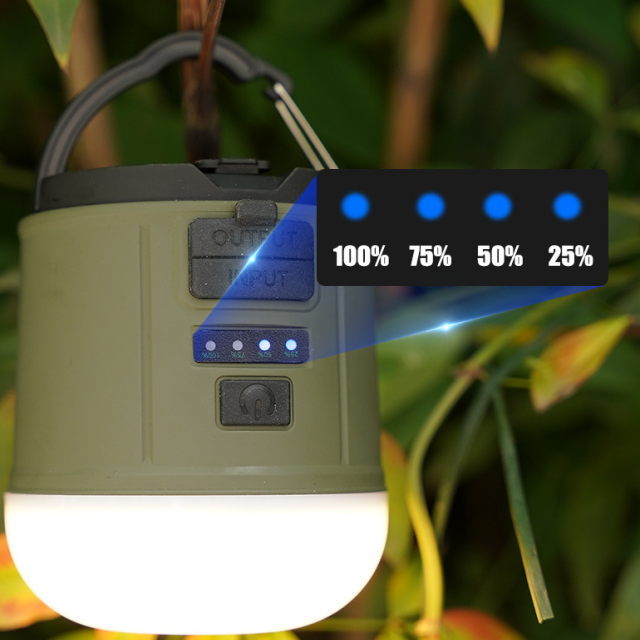 Buy Wholesale China Brilliant-dragon Hand Crank Dynamo Emergency ...