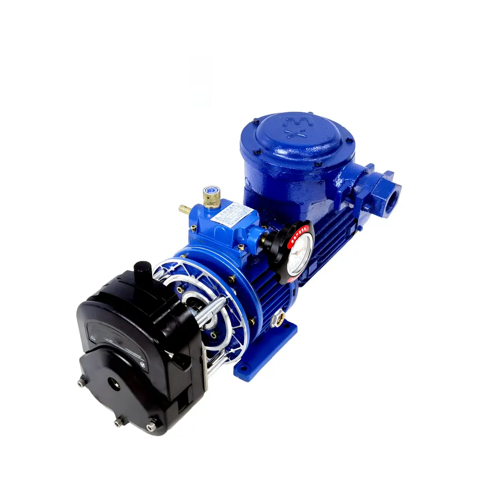 Bulk Buy China Wholesale Fb600 Explosion Proof Motor Peristaltic Pump Peristaltic Pump Filling ...