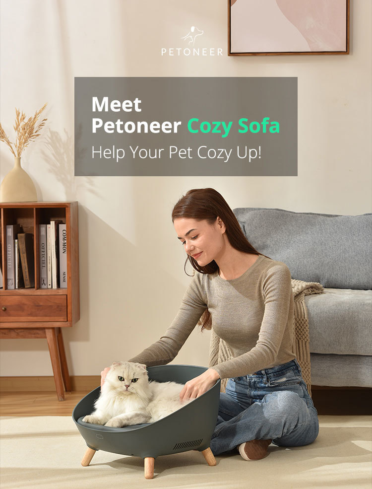 Buy Wholesale China New Style Intelligent Cozy Cat Dog Pet Sofa ...