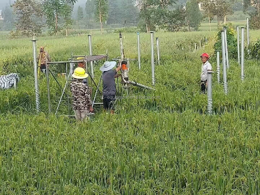 Buy Wholesale China High Quality Electric Hand Screw Pile Driver Sc-e50 ...