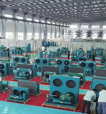 Buy Wholesale China Frascold Spare Parts Compressor Rings Oil Ring Set ...