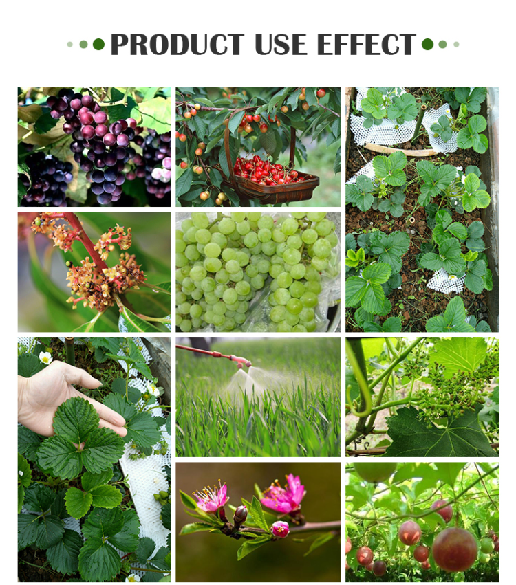 Bulk Buy China Wholesale Iba And Naa Mixed Rooting Powder Plant Growth ...