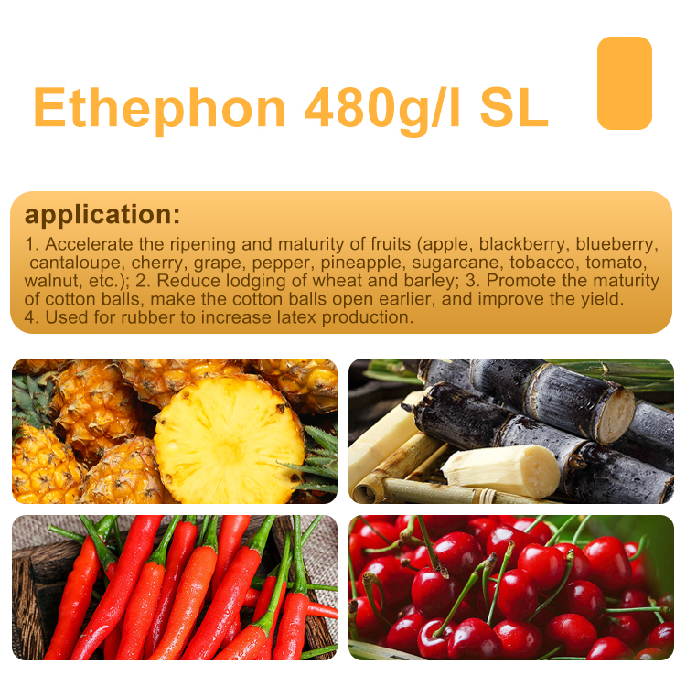 Buy Wholesale China Ethephon 480g/l Sl 90%tc 5% Paste Plant Growth ...