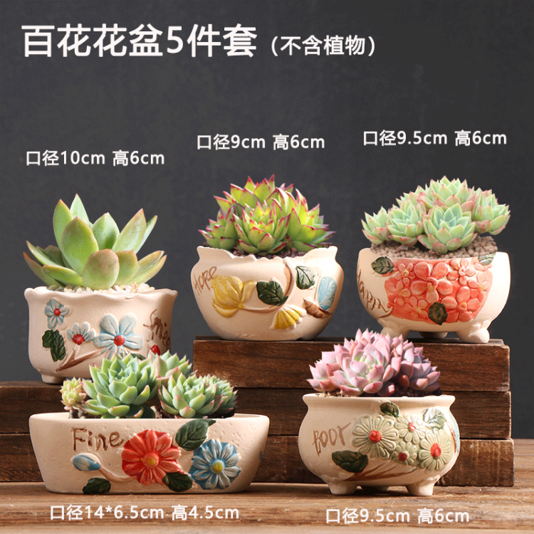 Buy Wholesale China 19a20 Wholesale Of Succulent Flower Pots Set By ...