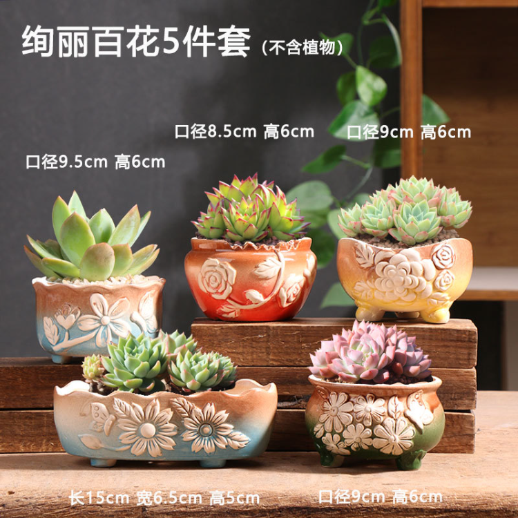 Buy Wholesale China 19a20 Wholesale Of Succulent Flower Pots Set By ...