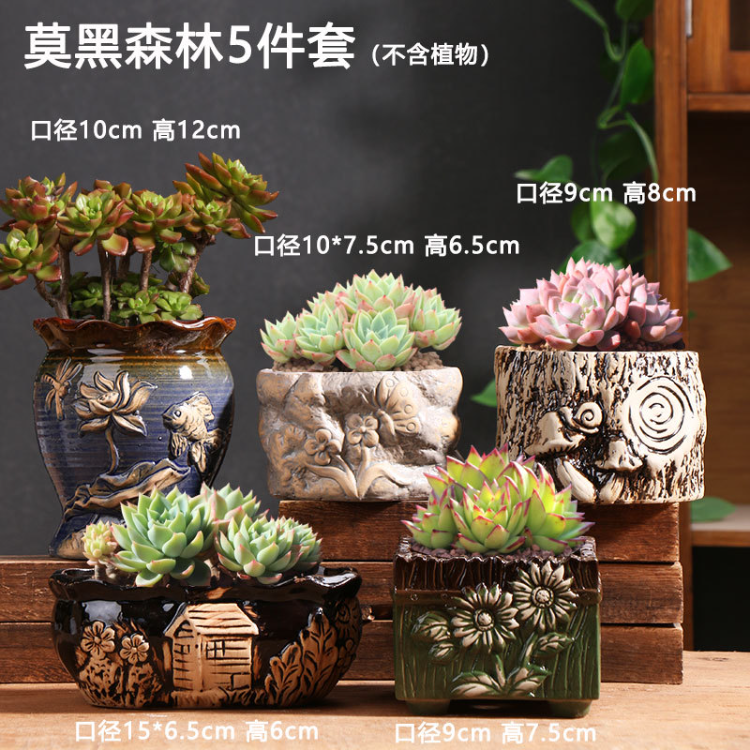 Buy Wholesale China 19a20 Wholesale Of Succulent Flower Pots Set By ...