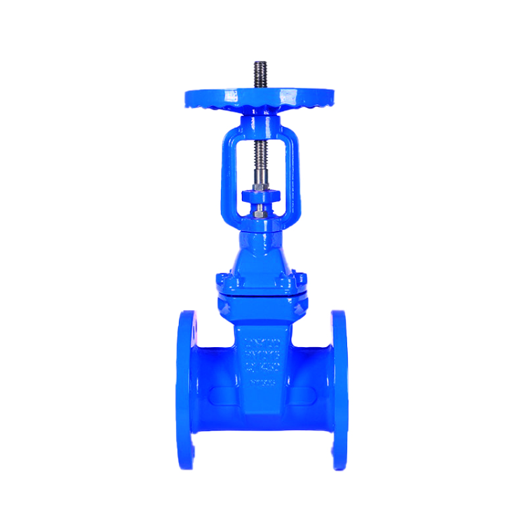 Buy Wholesale China Ductile Iron Gate Valve Large Diameter Soft Seal ...