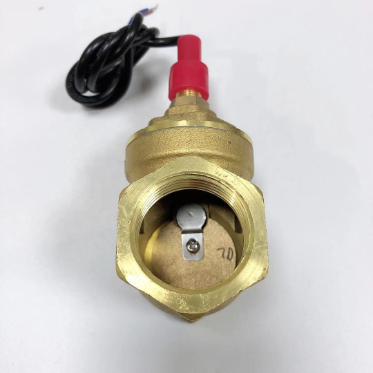 Dn25 Brass Copper 70w Water Flow Switch Baffle Type Flow Rate 7-60 L ...