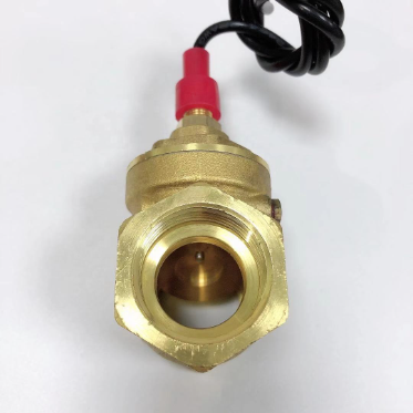 Dn25 Brass Copper 70w Water Flow Switch Baffle Type Flow Rate 7-60 L ...