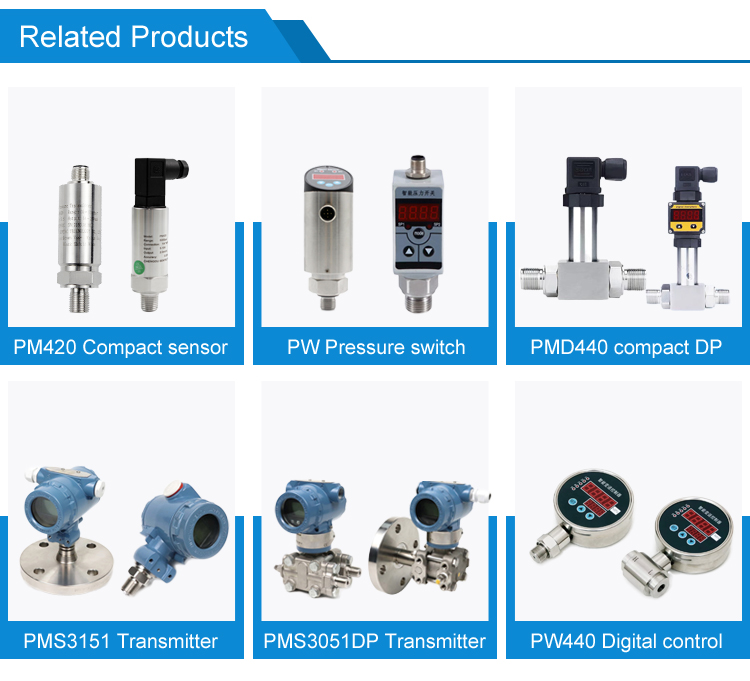Buy Wholesale China China Sentec Pt Steam 350bar E H Relative Indicator ...