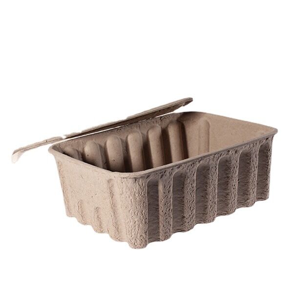 Buy Wholesale China Biodegradable Recycled Paper Pulp Packaging Box ...