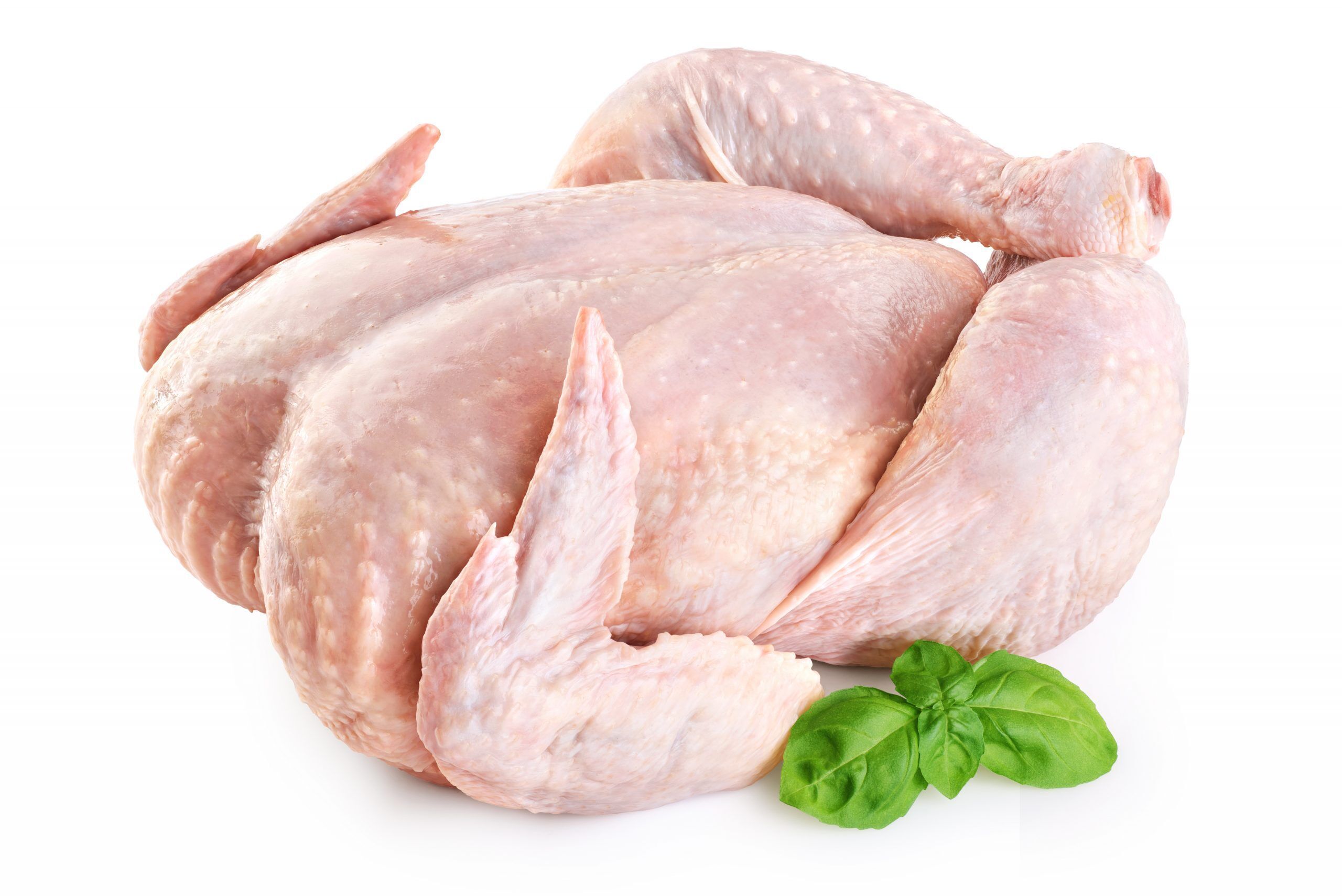 Buy Wholesale South Africa New Best Quality Frozen Whole Chicken Frozen ...