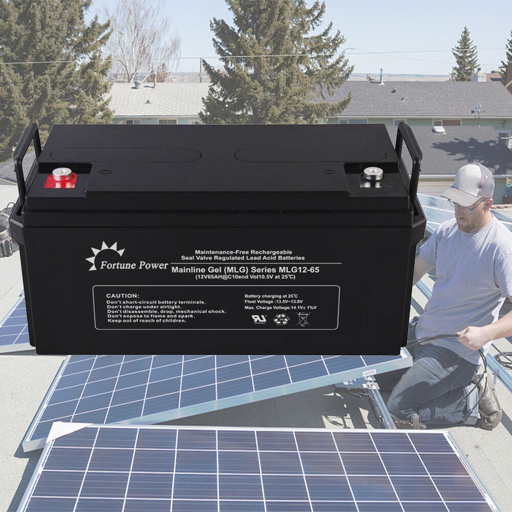 Fortune Power Agm Sealed Lead Acid Battery 12v 65ah - China Wholesale ...