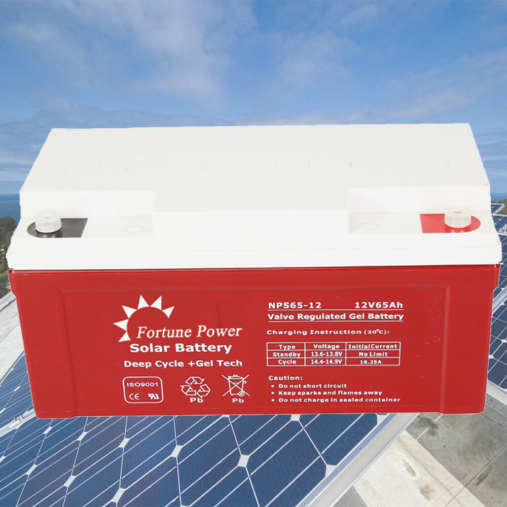 Fortune Power Agm Sealed Lead Acid Battery 12v 65ah - China Wholesale ...
