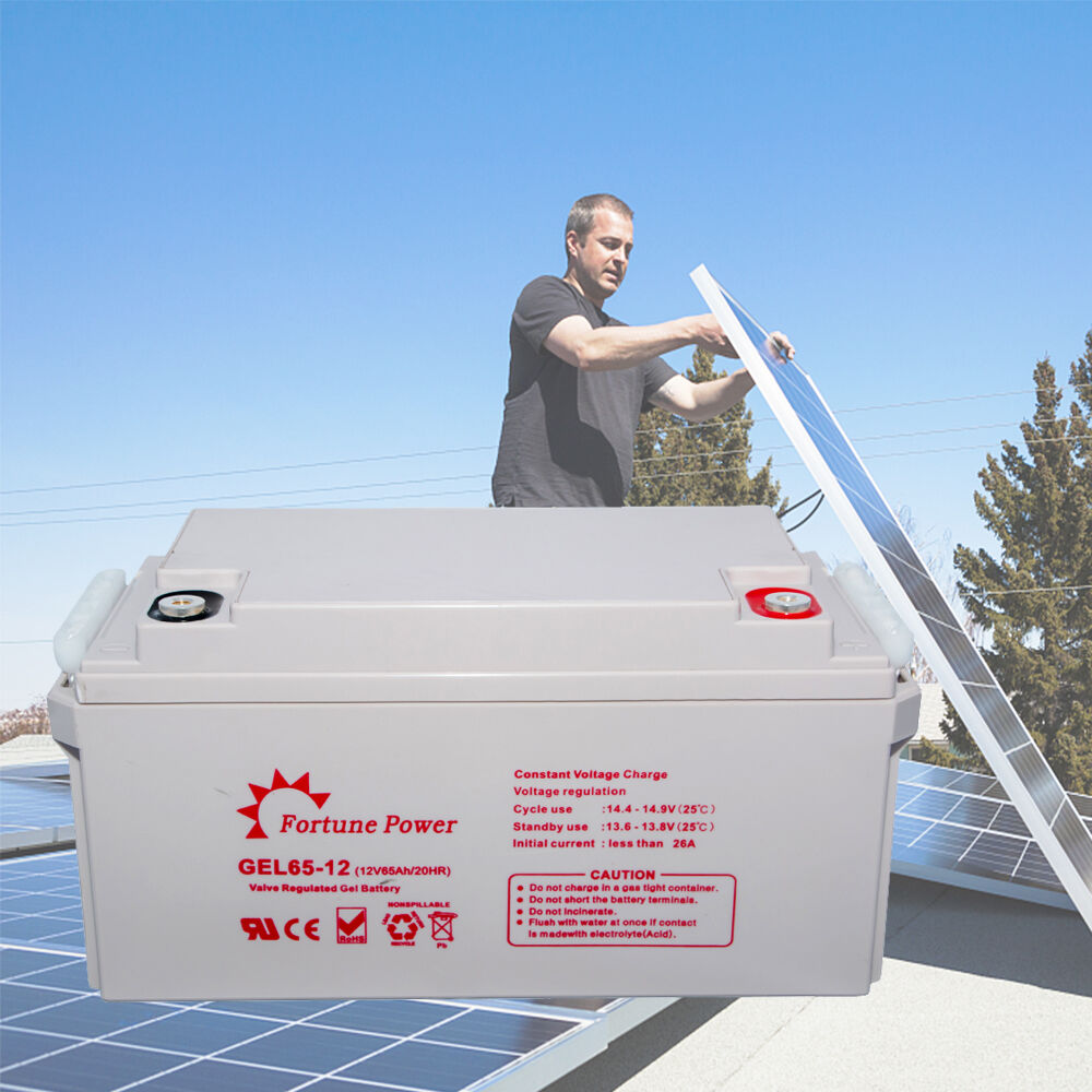 Fortune Power Agm Sealed Lead Acid Battery 12v 65ah - China Wholesale ...