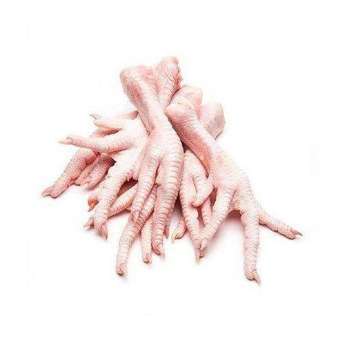Buy Wholesale Netherlands Fresh Chicken Frozen Chicken Paws For Good ...