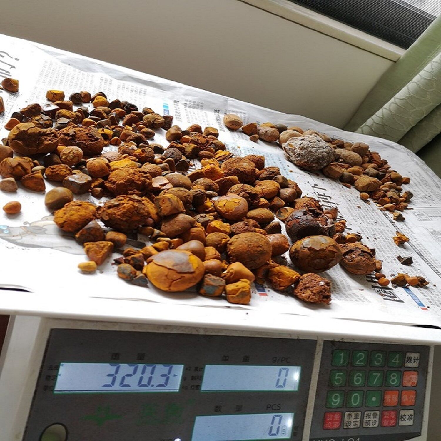 Buy Wholesale Kenya Ox Gallstones, Cattle Gallstones, Cow Gallstones ...