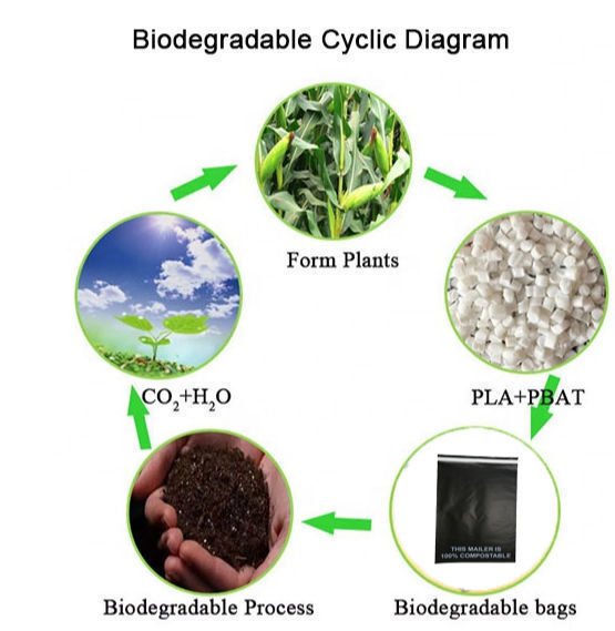 Buy Wholesale China Biodegradable Compostable Express Bag Certified By En13432,astm D6400 And Ok ...