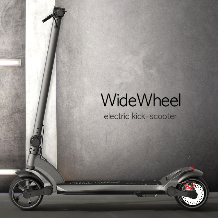 Buy Wholesale China Adult Wide Wheel 500w Dual Motor Scooter Widewheel ...