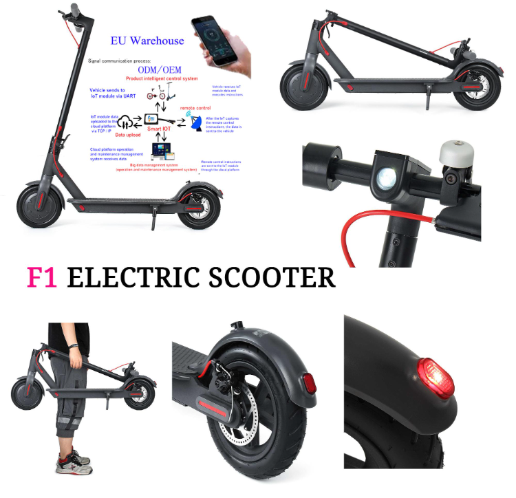 Buy Wholesale China Adult Wide Wheel 500w Dual Motor Scooter Widewheel ...