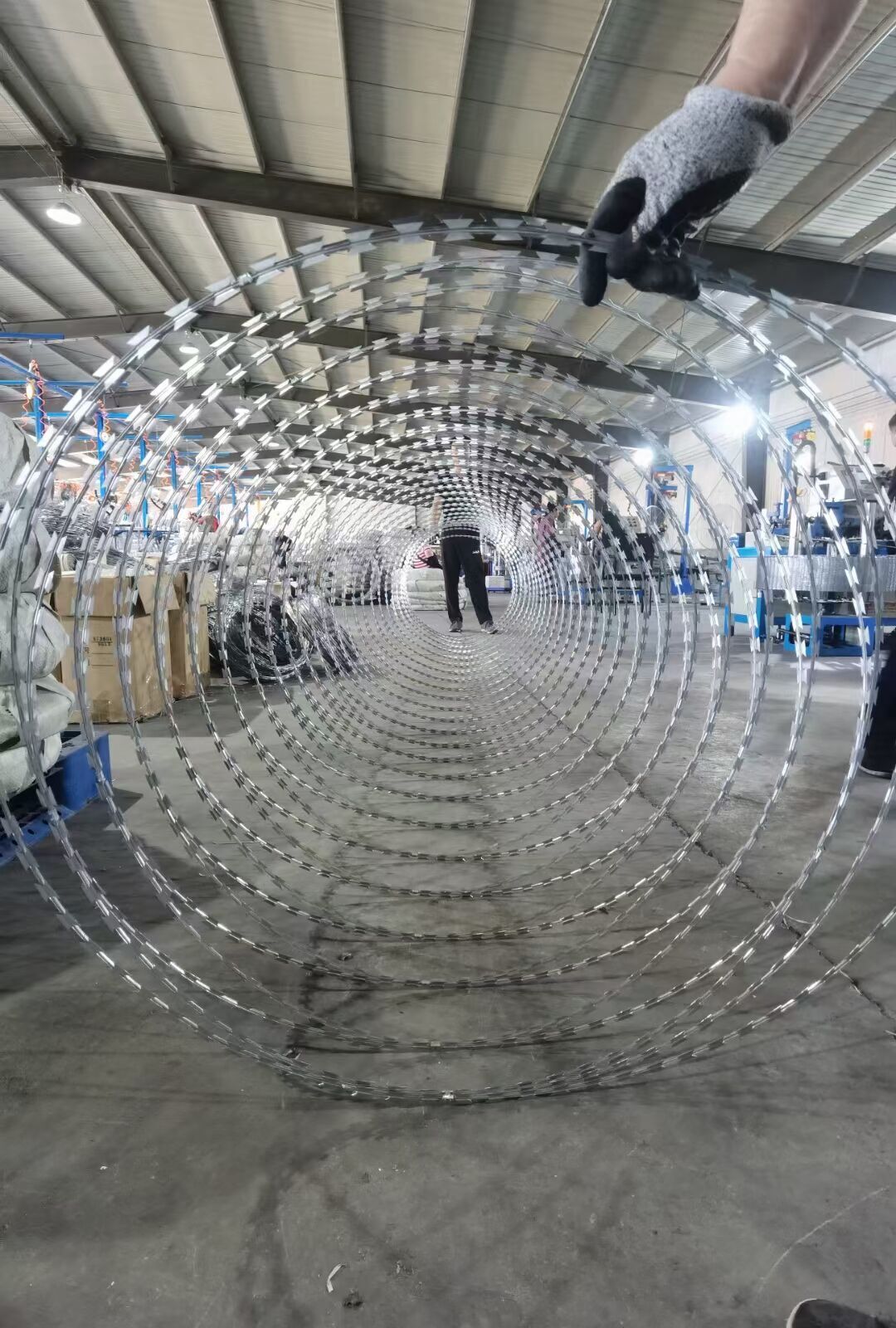 Hot Selling Low Price Concertina Bto-22 Type Galvanized Razor Wire, Hot ...