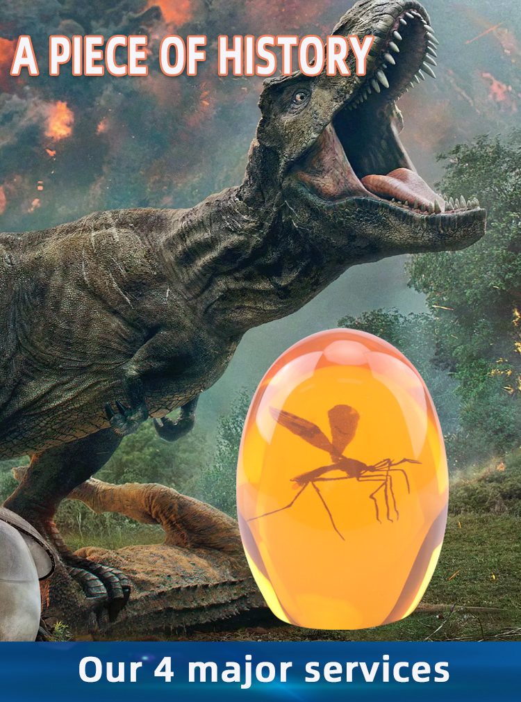 Buy Wholesale China Hot Sell Custom Amber Paperweight With Mosquito ...