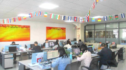 Buy Wholesale China Hot Sell Custom Amber Paperweight With Mosquito ...