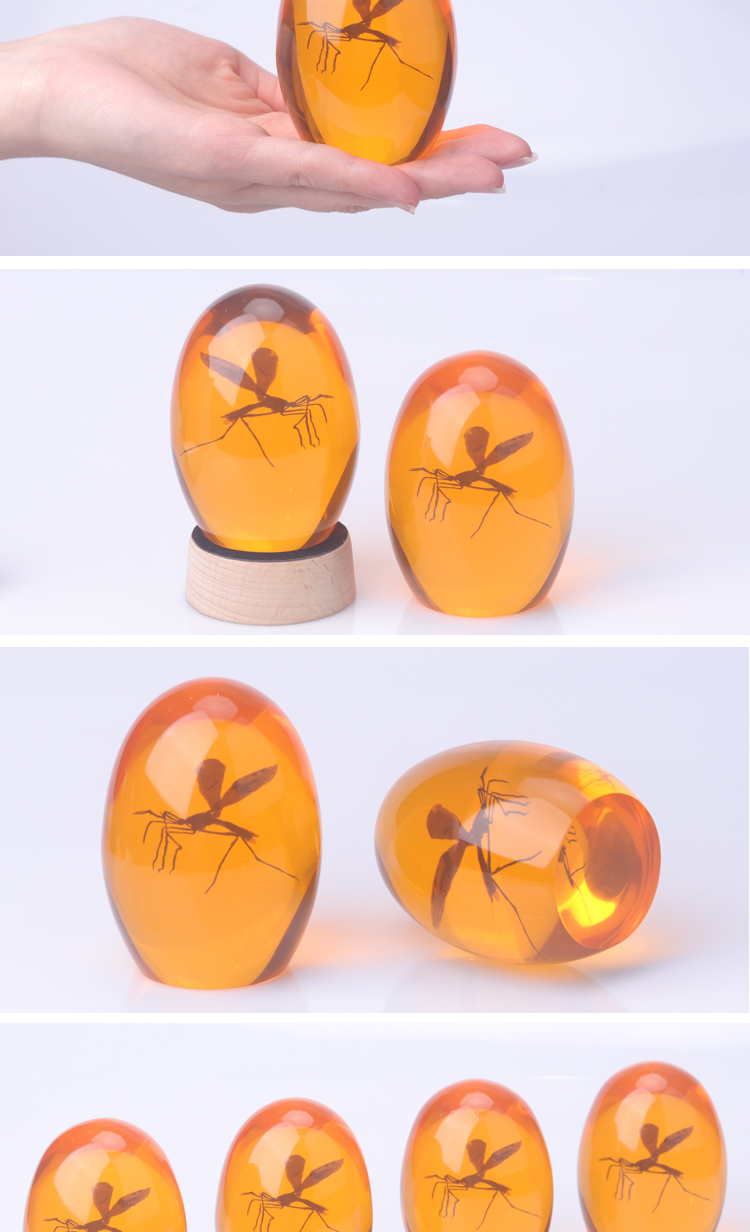 Buy Wholesale China Hot Sell Custom Amber Paperweight With Mosquito ...