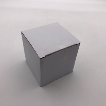 Buy Wholesale China Hot Sell Custom Amber Paperweight With Mosquito ...