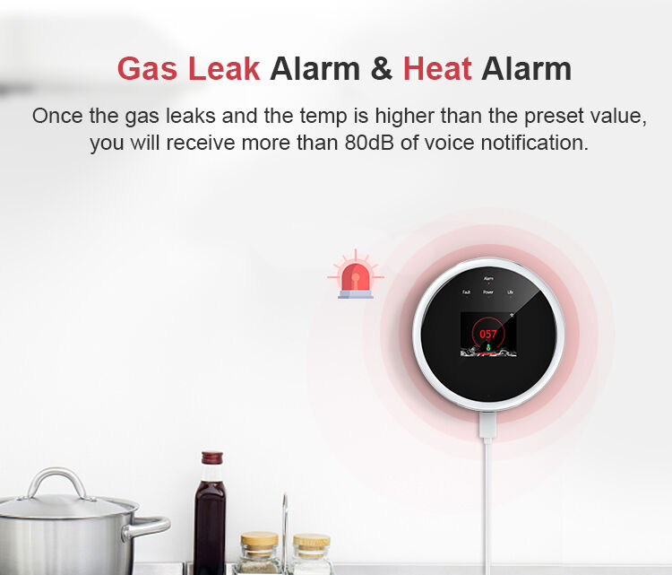 Smart Wifi Natural Gas Leak Detector App Remote Smoke Monitor ...