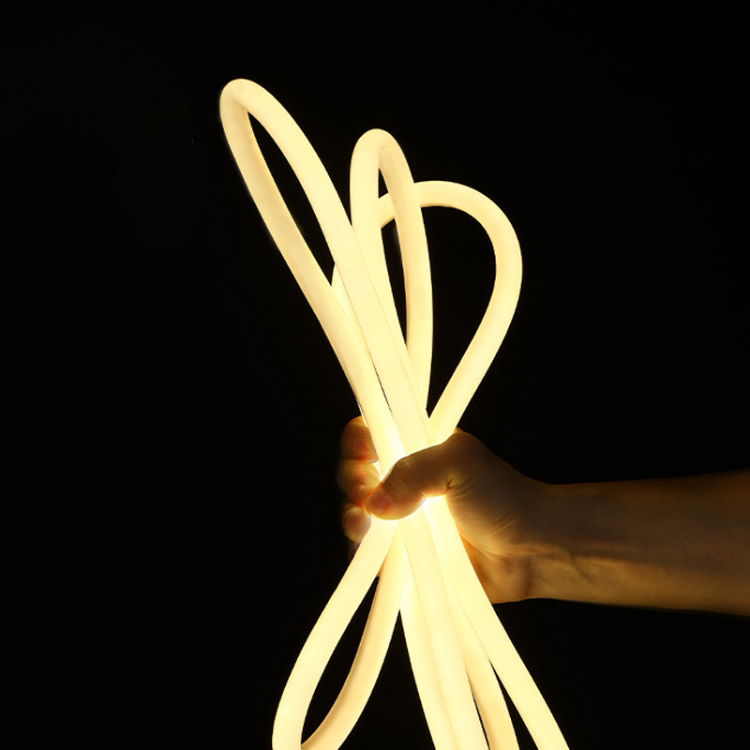 Hallway Decoration Led Neon Rope Light 12v Silicone Led Neon Strip ...