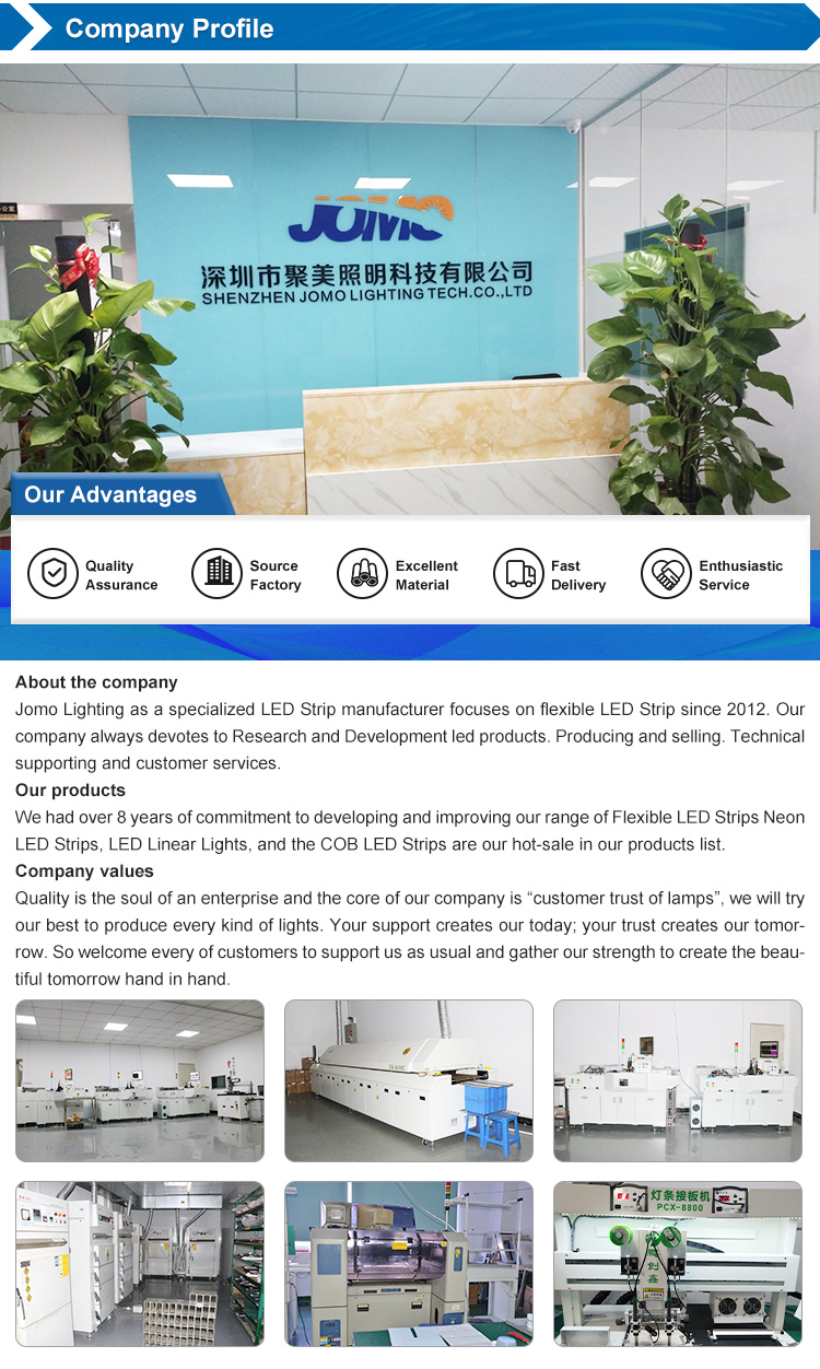 Buy Standard Quality China Wholesale Led Neon Flex Rope 5vv Rgb High ...