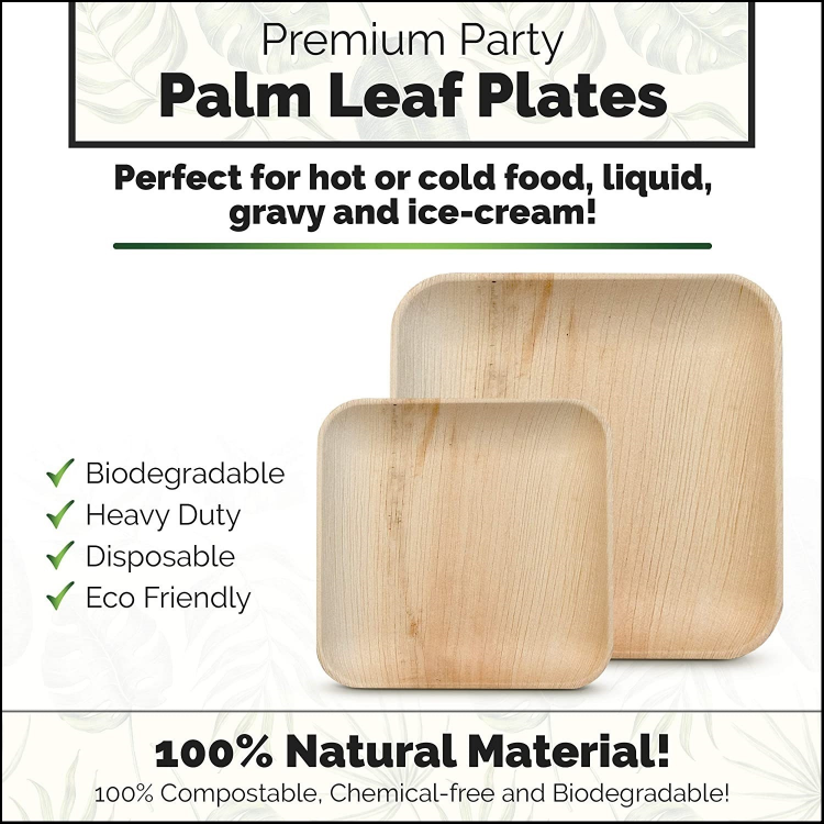 Palm Leaf Plates Disposable Bamboo Plates 10 Inch Round Party ...