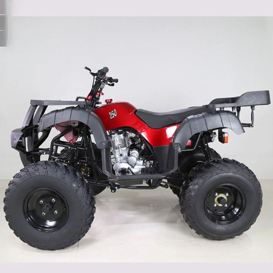 Buy Wholesale China Quad For Mini Tires Motor 125cc Chinese Bike 49cc ...