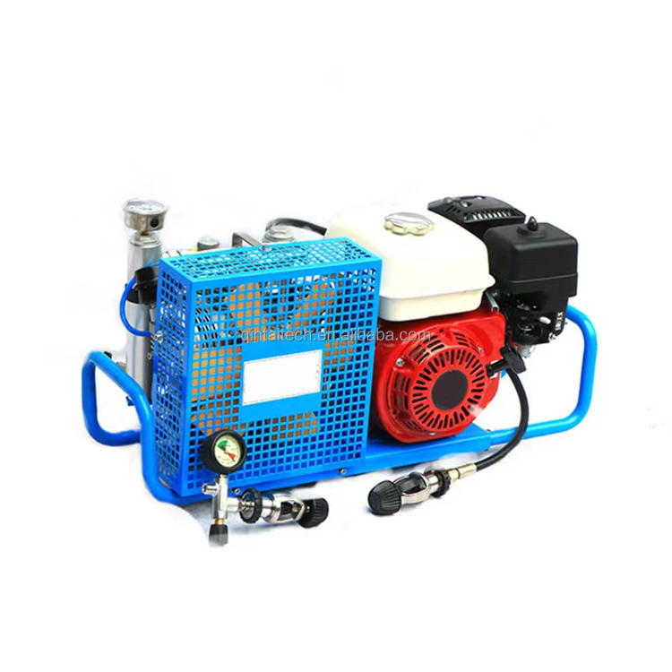 300bar Gas Engine Portable Breathing Air Compressor Oil Driven ...