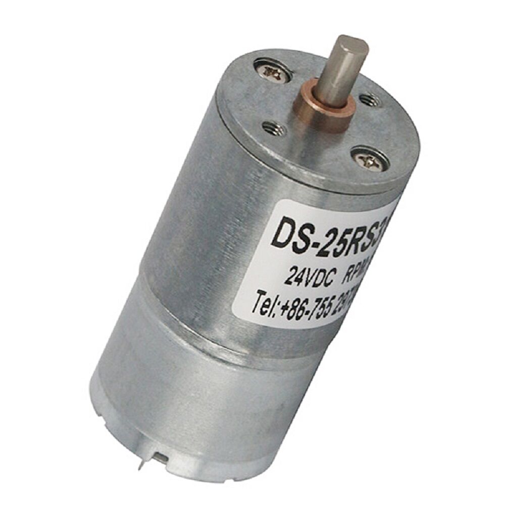 Dsd-25rs310 25mm 6v 12v 24v High Torque Low Speed Brushed Dc Motor 6v ...