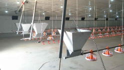 Bulk Buy China Wholesale Chicken Poultry Farmming Feed Silo Small Size ...