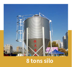Hot Galvanized Silo Different Capacity Chicken Feed Storage Silo, High ...