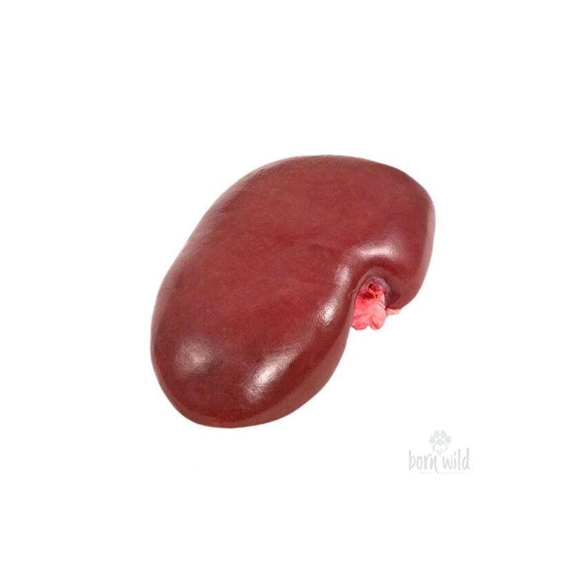 Buy Wholesale Hungary Wholesale Frozen Pork Kidneys For Sale & Frozen ...