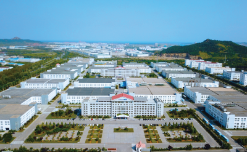 Buy Wholesale China Weigao Veterinary Iv Infusion Set Iv Cannula Making ...