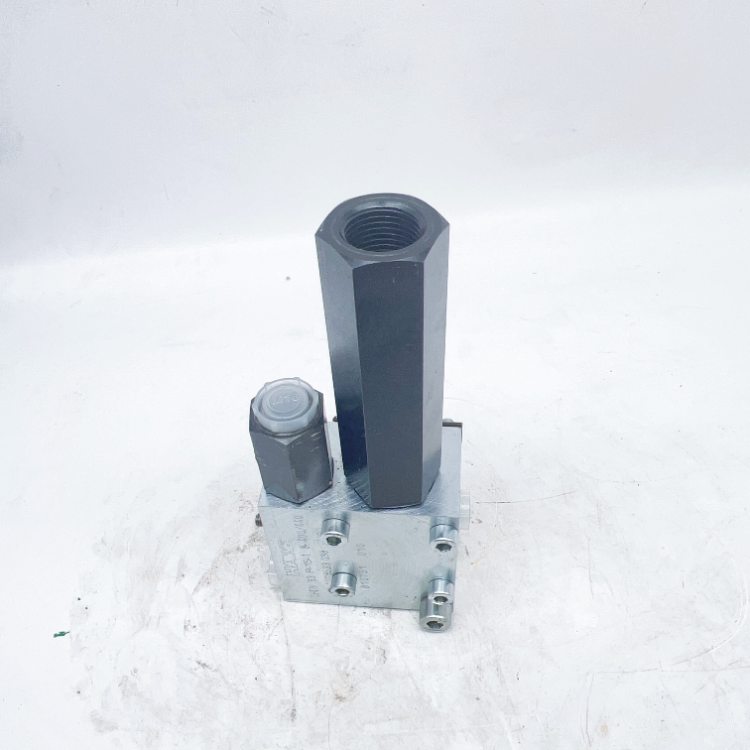 Buy Wholesale China Hydraulic Check Balance Valve 265686007 Leg Lock ...